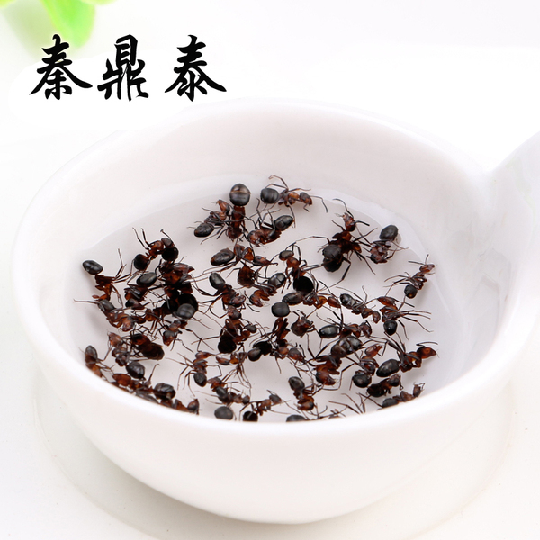 Black Ant Powder 250g - Changbai Mountain Ants | Qin dingtai Ant Powder ...