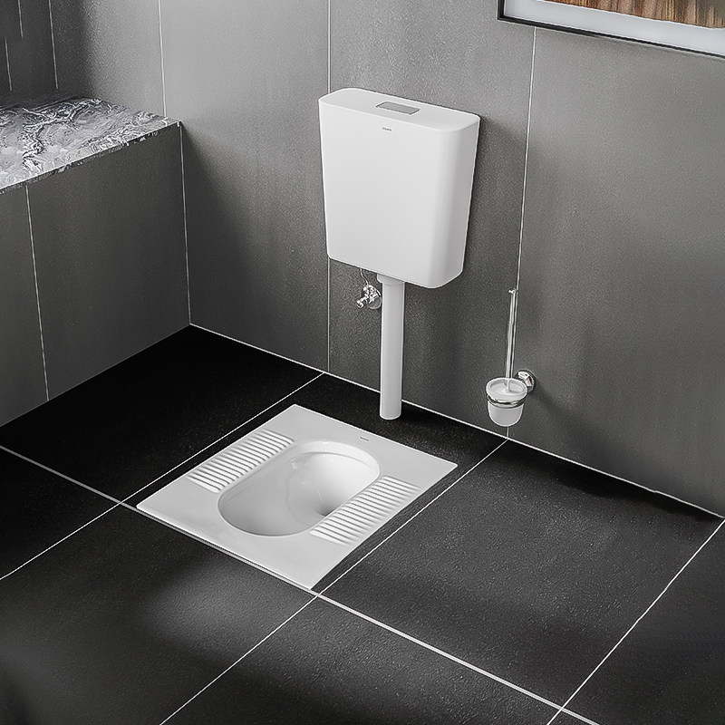 Wave Whale Bathroom Squat Toilet Water Tank Set with Deodorant Pit and ...