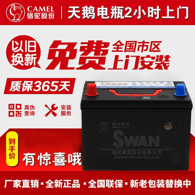 Camel Swan Battery 58500 Maintenance-Free 12V48Ah Wuling Zhiguang ...