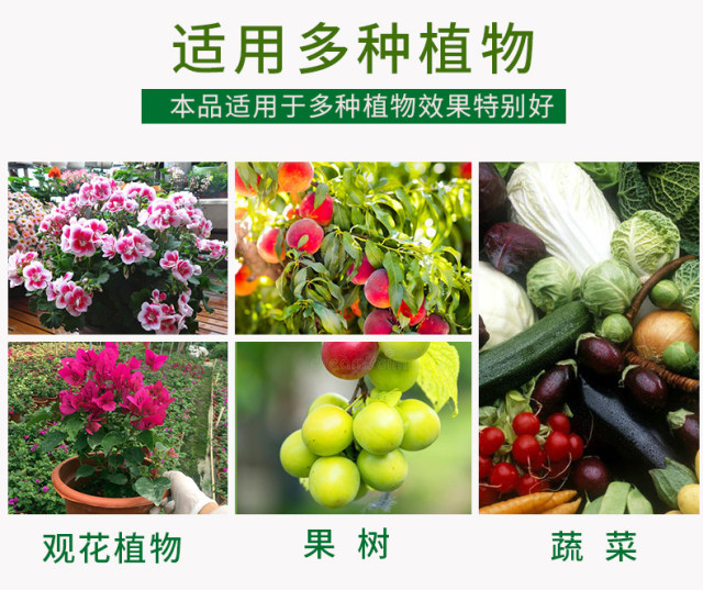 Fermented chicken manure and sheep manure granules organic fertilizer ...