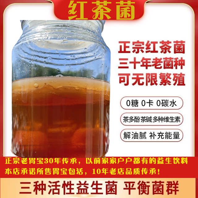 Authentic kombucha strain traditional original bottle Laoweibao ...