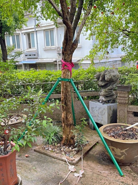 Green big tree support pole Garden metal tree support steel pipe fixer ...