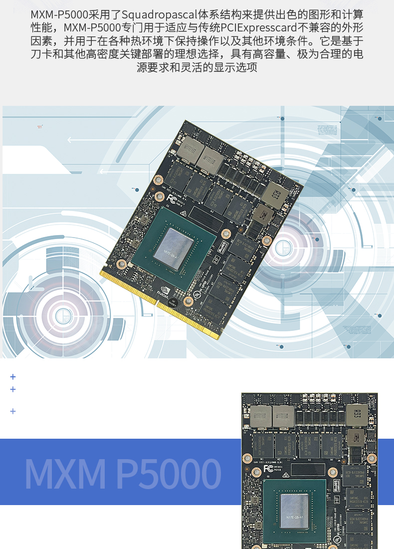 显卡 - P1000 | Goldensik