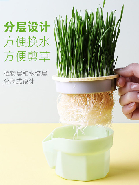 Lazy cat grass hydroponic pot hydroponic cup planting hair removal ball ...