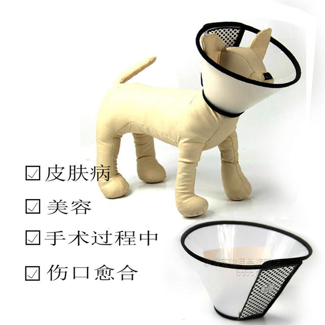 Bobo Dog Elizabeth Circle Cat Circle Cat Circle Pet Aesthetic Anti ...