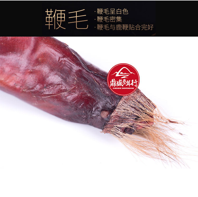 Jilin Sika Deer Whip from Changbai Mountain - Whole Deer Whip Bubble ...