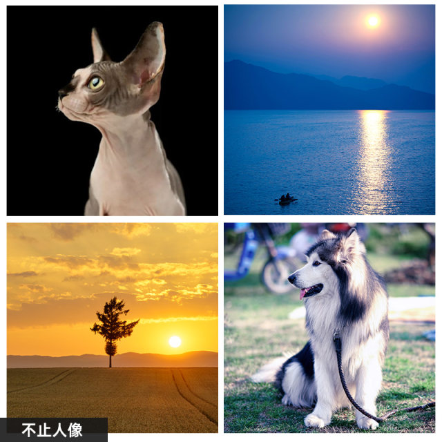 Sigma 85mm F1.4 large aperture portrait lens full frame Sony mouth, L mouth