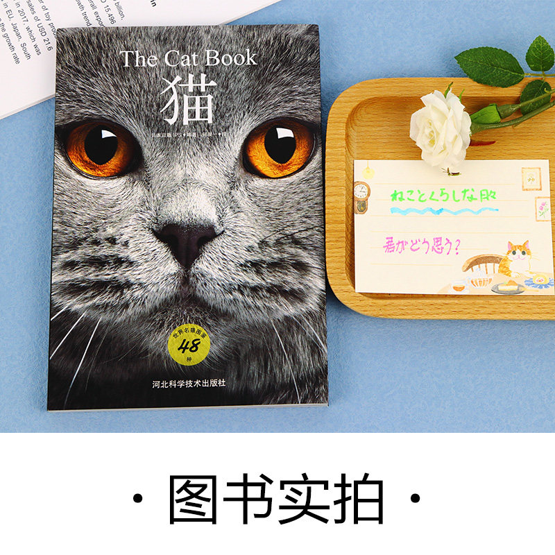 Dangdang genuine books cat encyclopedia cat illustrations 48 kinds of ...