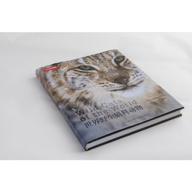 Wild Cats of the World A collectible wild big cat family tree album ...