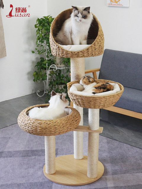 Lvoshangshi Wooden Pillar Kitzata Cat Climbing Shelf with a provincial ...