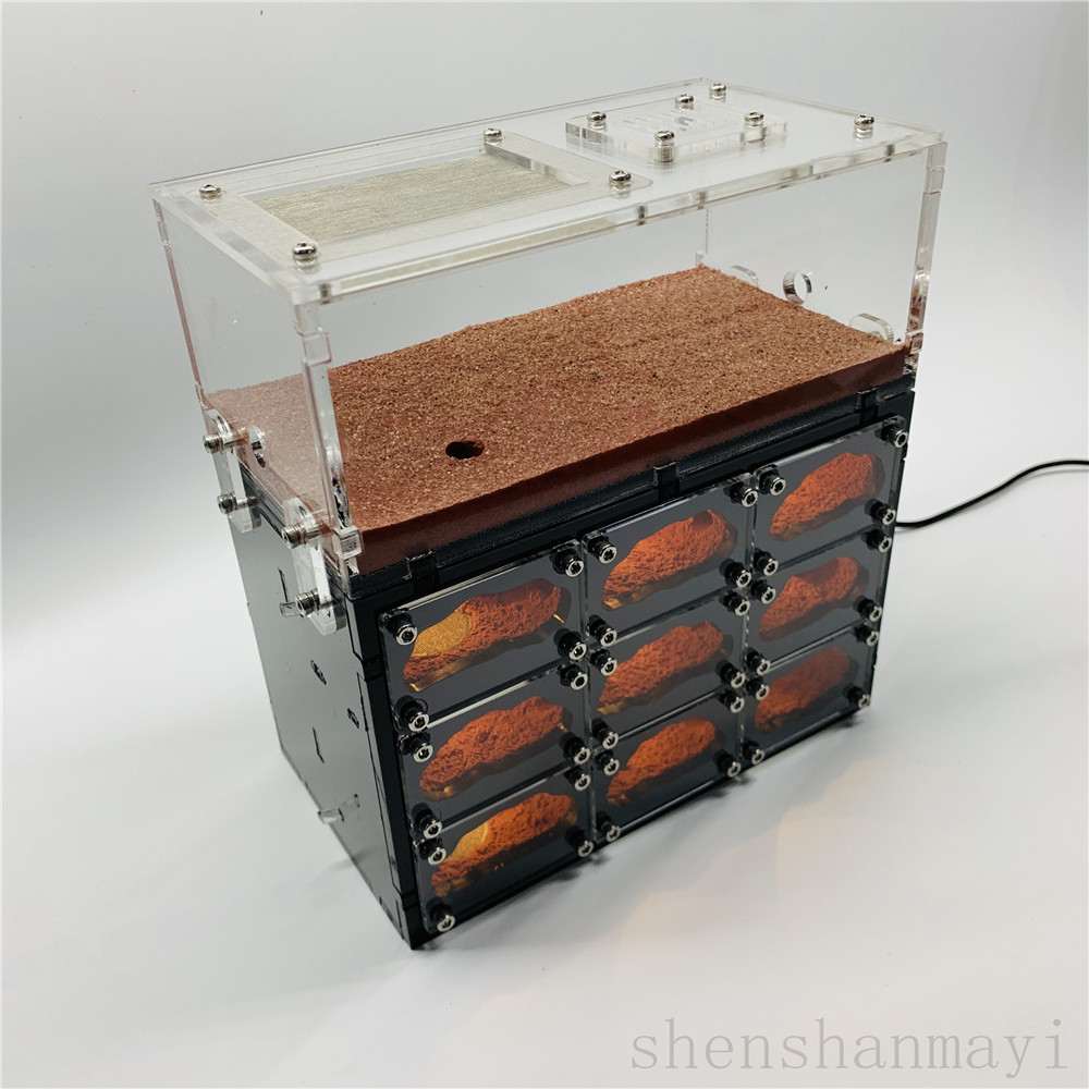 Sky City D version pet ant workshop cage breeding live ant nest acrylic ...