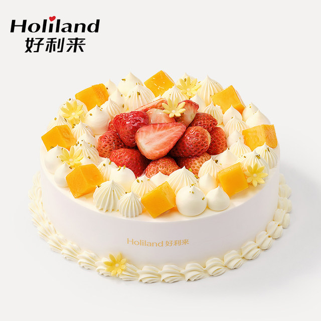 Holiland birthday cake Beijing Shanghai Nanjing Chengdu Shenyang Xi'an ...