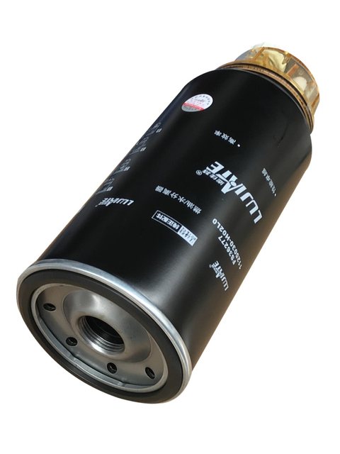 Fs36277/Fs20126 Electronic Fuel Injection 1125030-H02L0/Tf370 Diesel ...