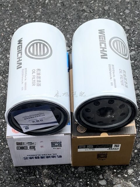 1000428205 Oil Filter Element 1000428205A Original Genuine Wp12/13 Oil ...