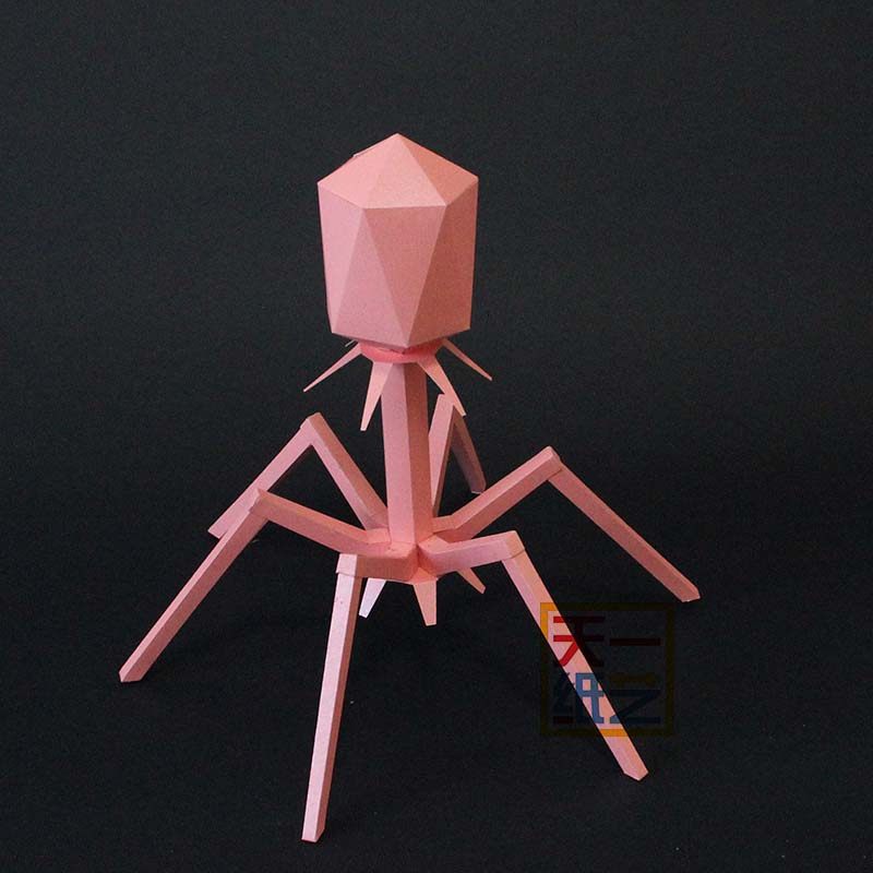 Handmade diy phage paper model | Tianyi paper art Phage Paper Model ...