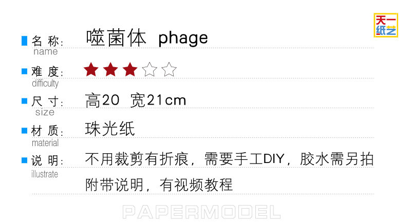 Handmade diy phage paper model | Tianyi paper art Phage Paper Model ...