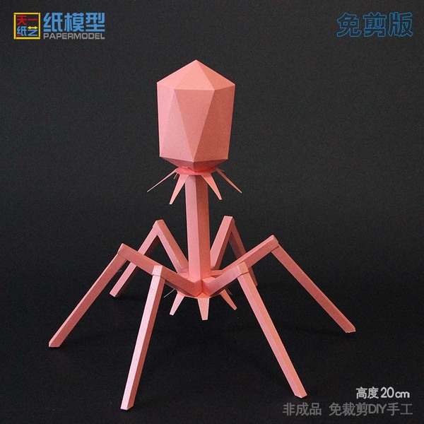 Handmade diy phage paper model | Tianyi paper art Phage Paper Model ...