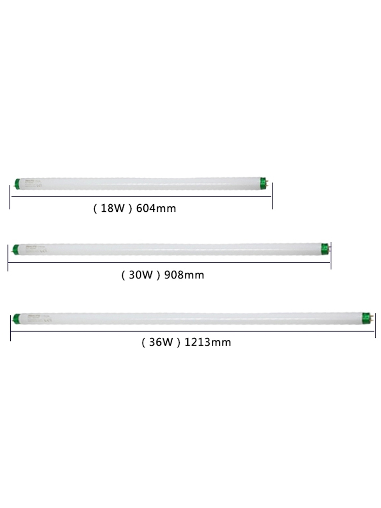 Philips T8 형광등 36W 220V