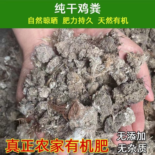 Pure dry chicken manure includes chicken fertilizer, natural farmyard ...