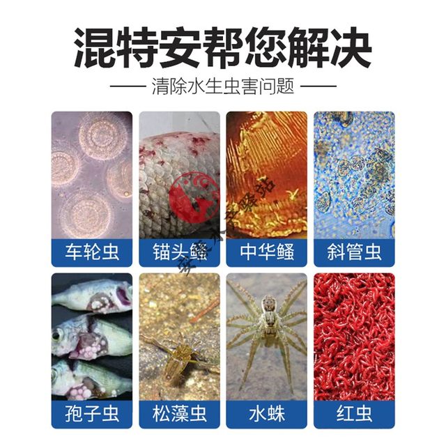 Zhongsheng Miankha Te Anning Aquaculture Insecticide Anchor Head Fish ...