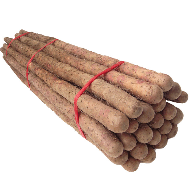 Huaifu people’s authentic Jiaozuo iron bar yam fresh iron bar Huai yam ...