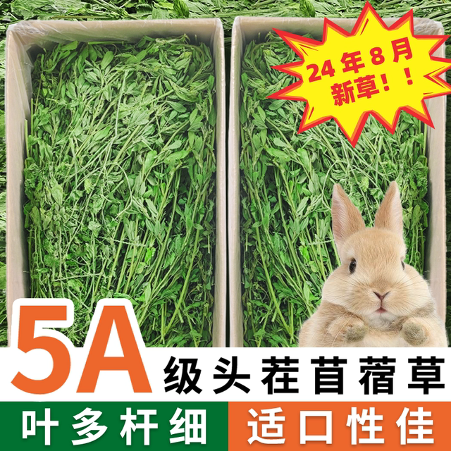 Alfalfa rabbit food, purple flower hay, baby rabbit food, guinea pig ...