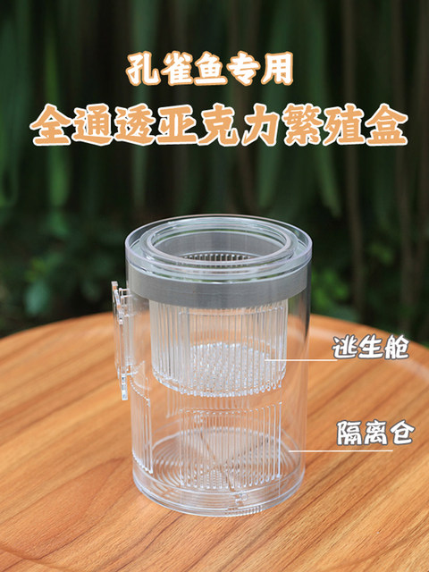 Acrylic guppy breeding isolation box, small fish breeding tank, small ...