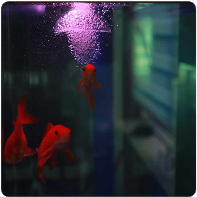 Water dumb fish tank silent silencer overflow noise reduction artifact ...