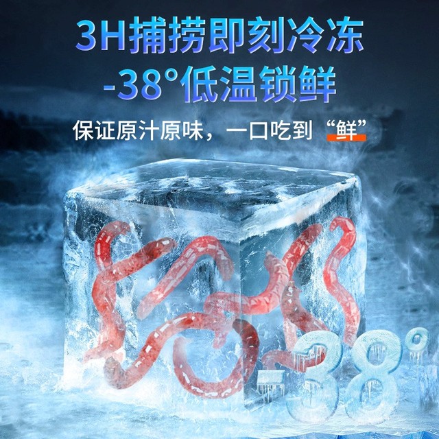 Frozen red worm red nematode hexagonal dinosaur fine fish food brine ...