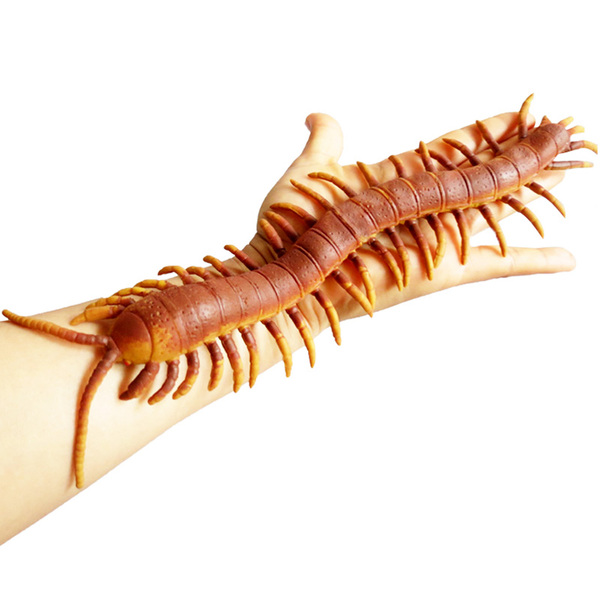 Extra Large Simulation Software Centipede - Tricky Fake Insect Model ...