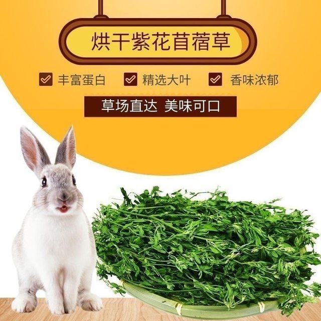 Alfalfa rabbit food, purple flower hay, baby rabbit food, food for ...