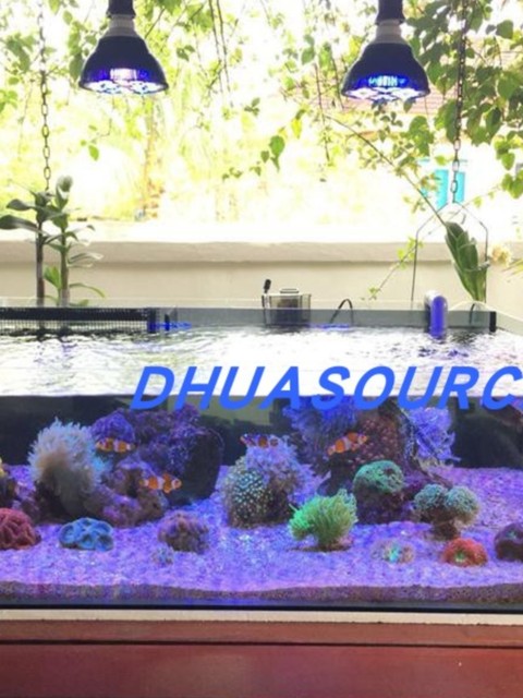 Customized full spectral LED aquarium coral light sea cylinder algae ...