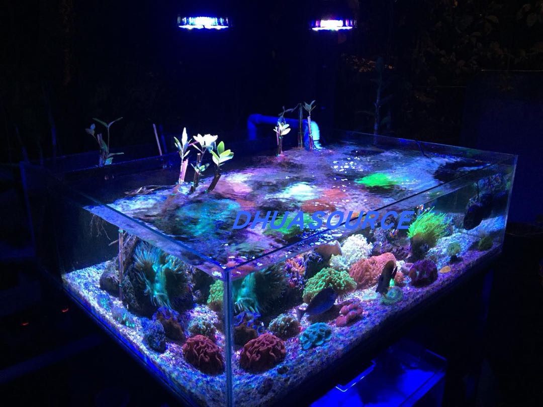 Customized Full-Spectrum LED Aquarium Coral Lamp Sea Algae Tank Plant ...