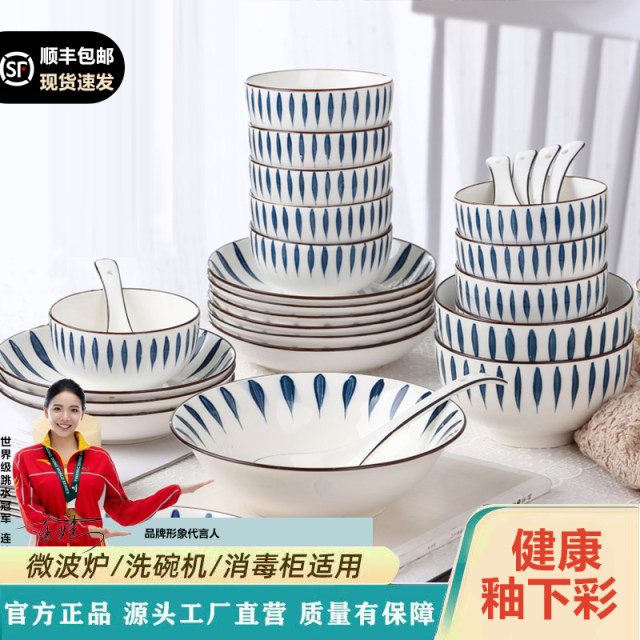 High-end dishware set for home use 2024 new simple bowls and plates ...