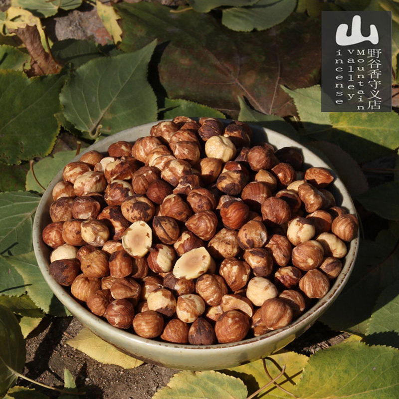 Tieling Hazelnut Kernel from Northeast China | Original Flavor Nuts in ...