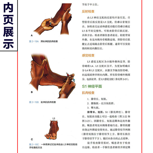 Genuine orthopedic neurological neuropathic diagnosis guide, 2nd ...