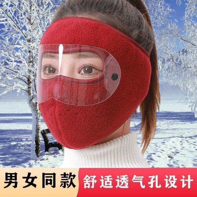 Winter warm large mask, eye protection, full face, cold wind protection ...
