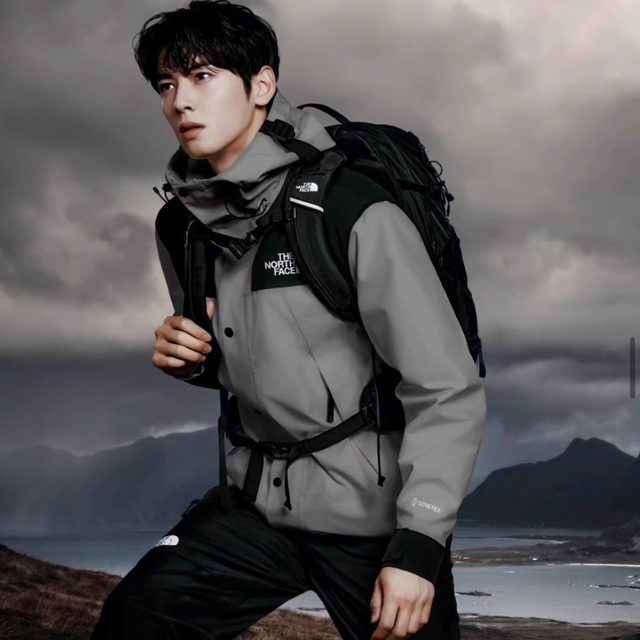 THENORTHFACE North 1990 Outdoor Windproof Hooded GTX Waterproof ...