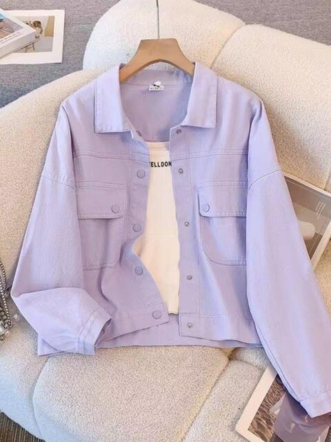 Purple Ins Jacket Women's Spring and Autumn Casual All-Match Jacket New ...