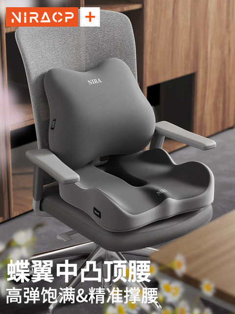 Lumbar Support Office Cushion Seat Work Station Sedentary Artifact ...