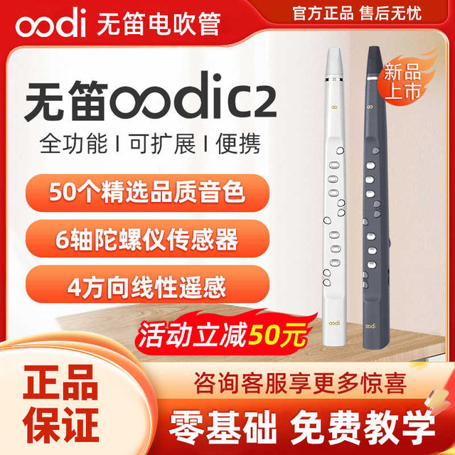 Flute C2 Electronic Blip Official Flagship Store Primary School Equity ...