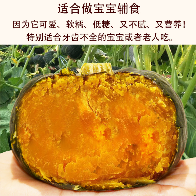 Beibei Pumpkin Chestnut Flavor Beibei Small Pumpkin 5 Jin [Jin equals 0 ...