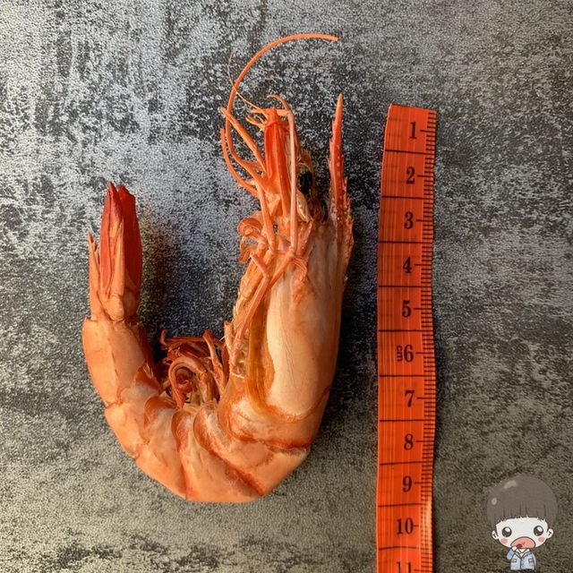 Wenzhou specialty nine-section shrimp grilled shrimp large grilled ...