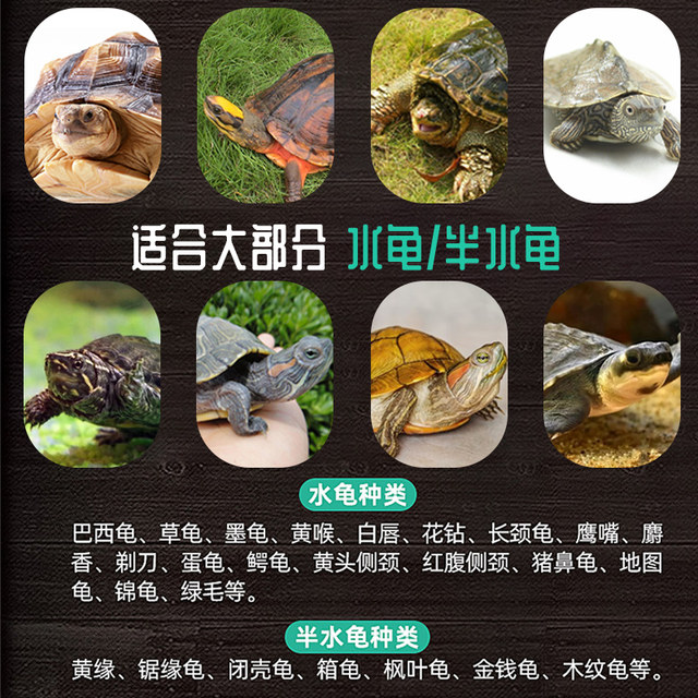 Nutritional turtle food, stone money, turtle feed, snapping turtle food ...