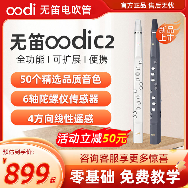 No flute C2 electronic blowpipe official authentic beginner flute ...