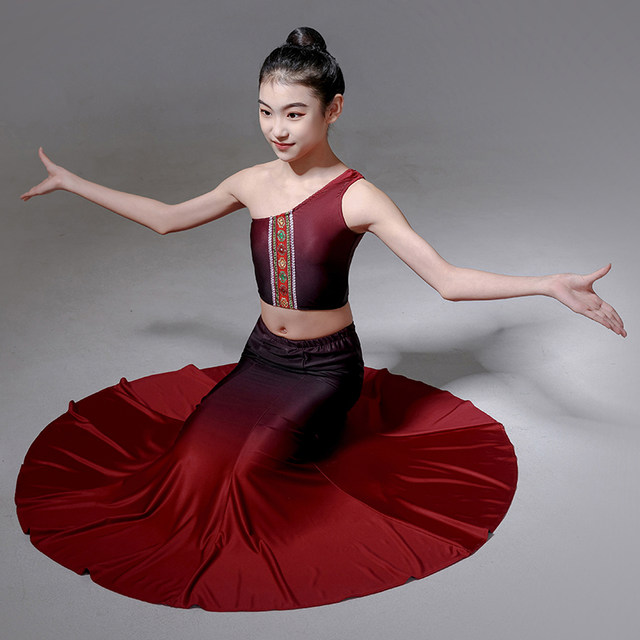 Adult Dai dance costume peacock dance fishtail skirt practice dance ...