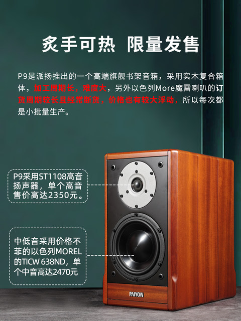 Paiyon P9 solid wood high -end HIFI bookshelf speaker Morel Morel TICW ...