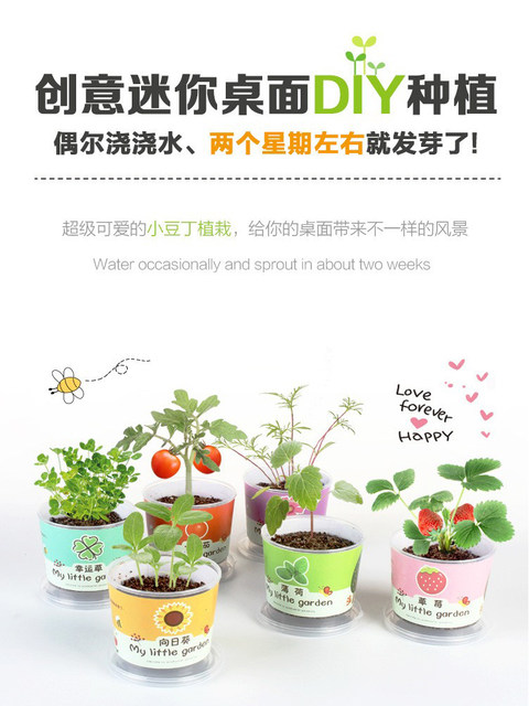Children's plant cans creative small potted cultivation desktop mini ...
