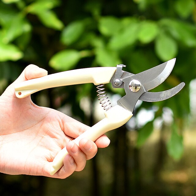 Pruning fruit tree pruning scissors gardening garden pruning scissors ...