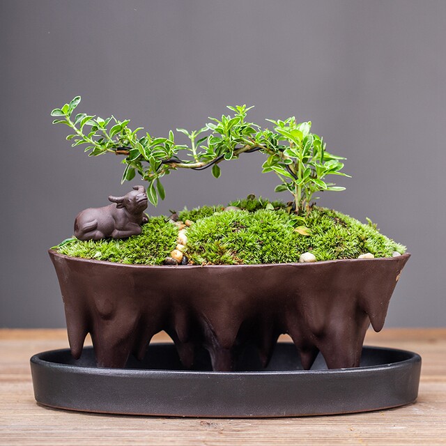 Fortune Tree office living room Coffee table Xuanguan Decoration ...
